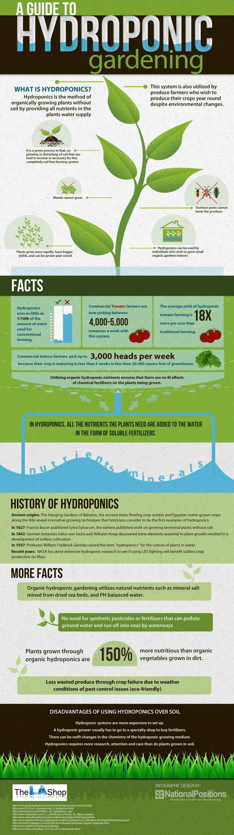 An Absolute Beginner's Guide to Hydroponic Gardening